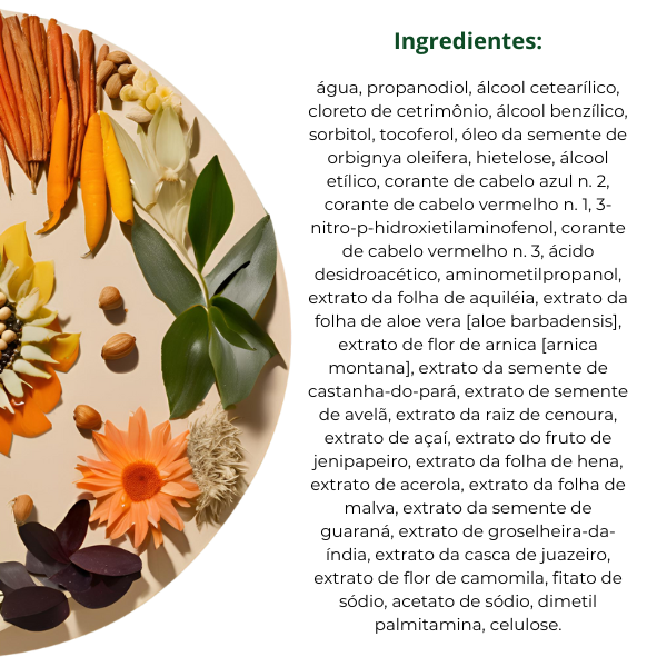 Henna Creme Marsala 70ml – Surya Brasil